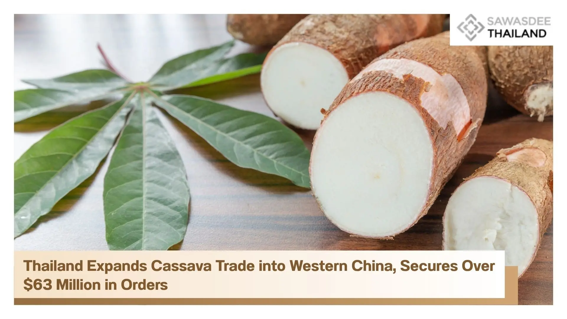 Thailand Expands Cassava Trade into Western China, Secures Over $63 ...