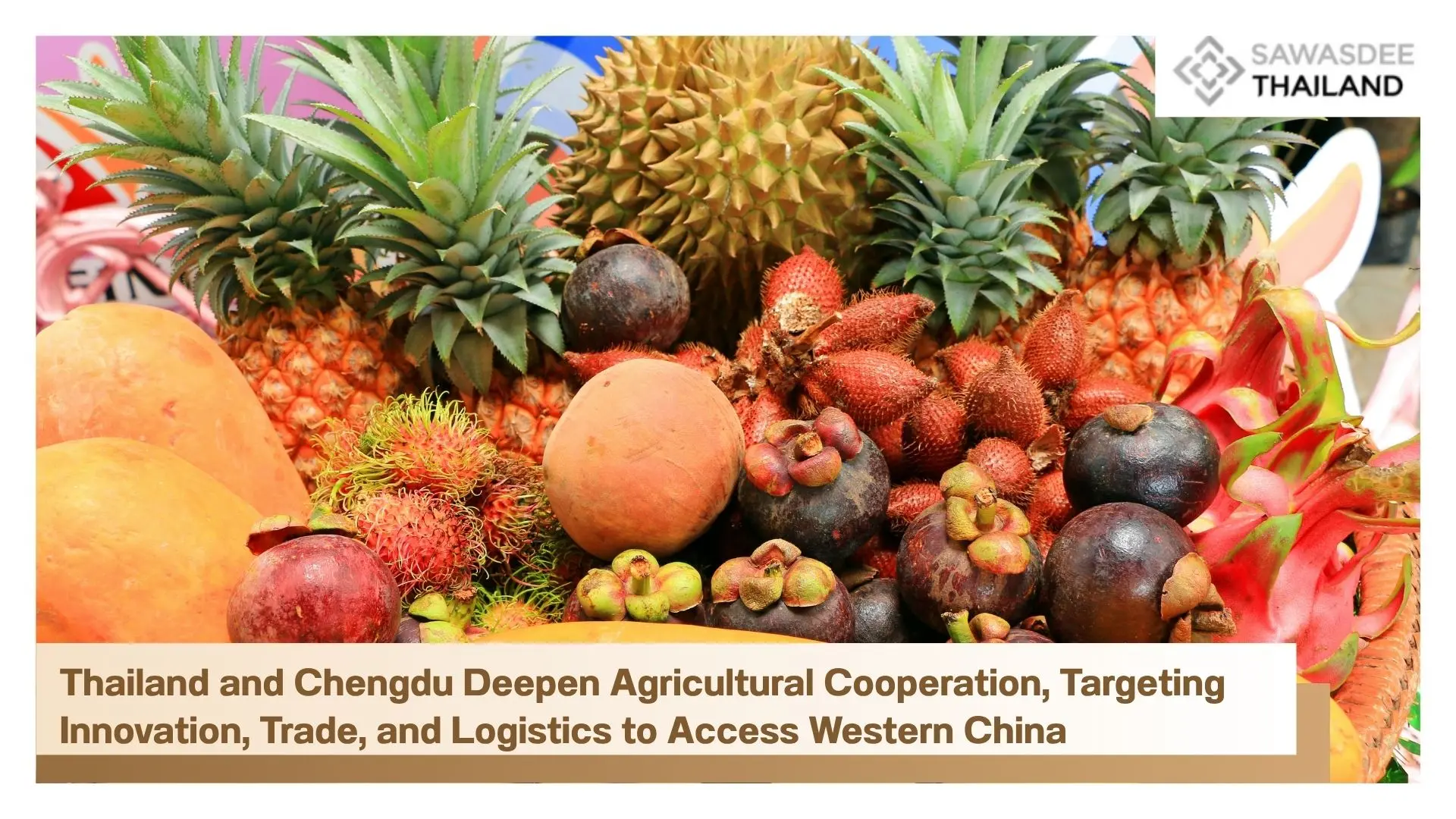 Thailand and Chengdu Deepen Agricultural Cooperation, Targeting ...